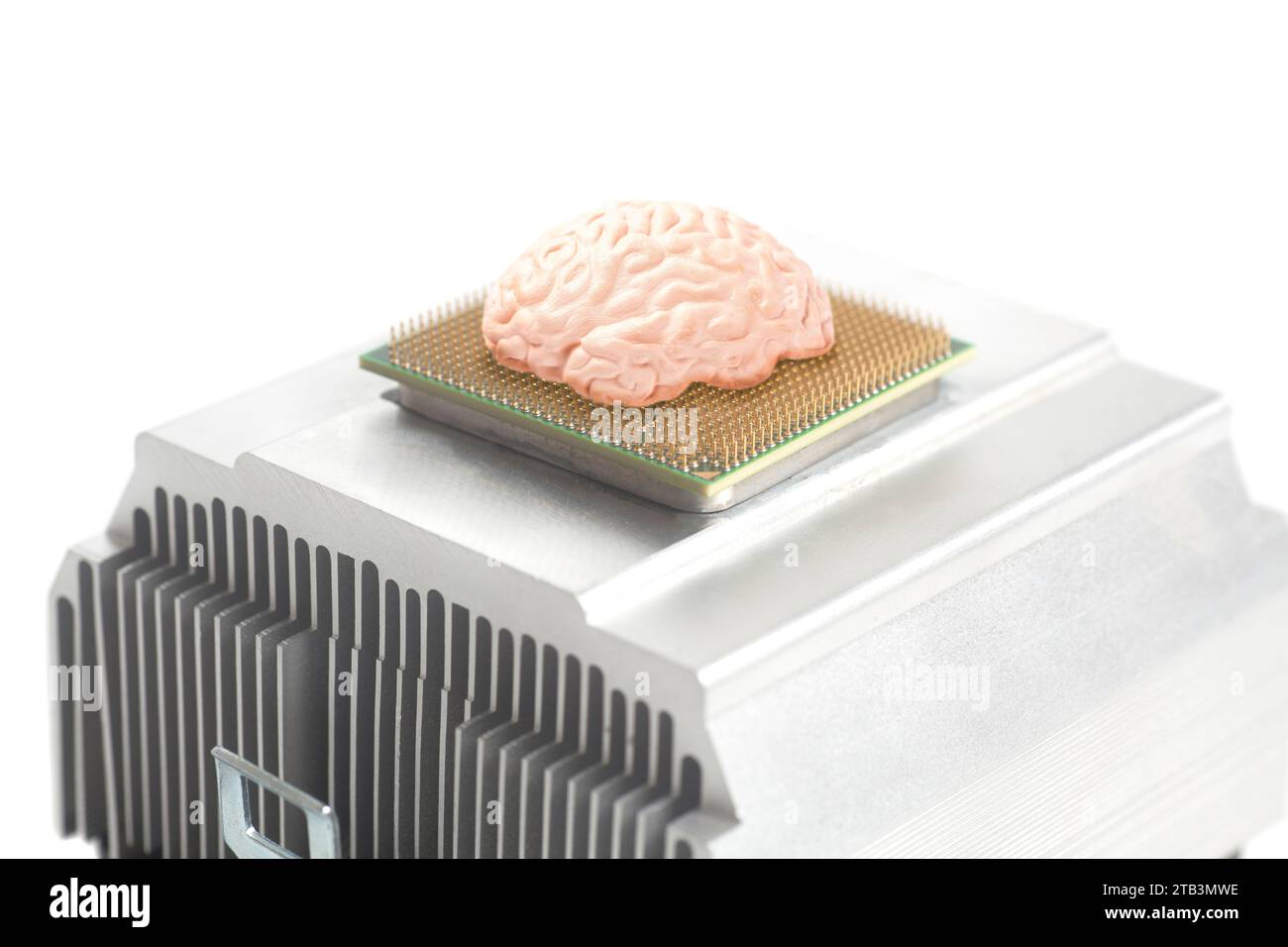 Human brain anatomical model on CPU processor microchip Stock Photo - Alamy