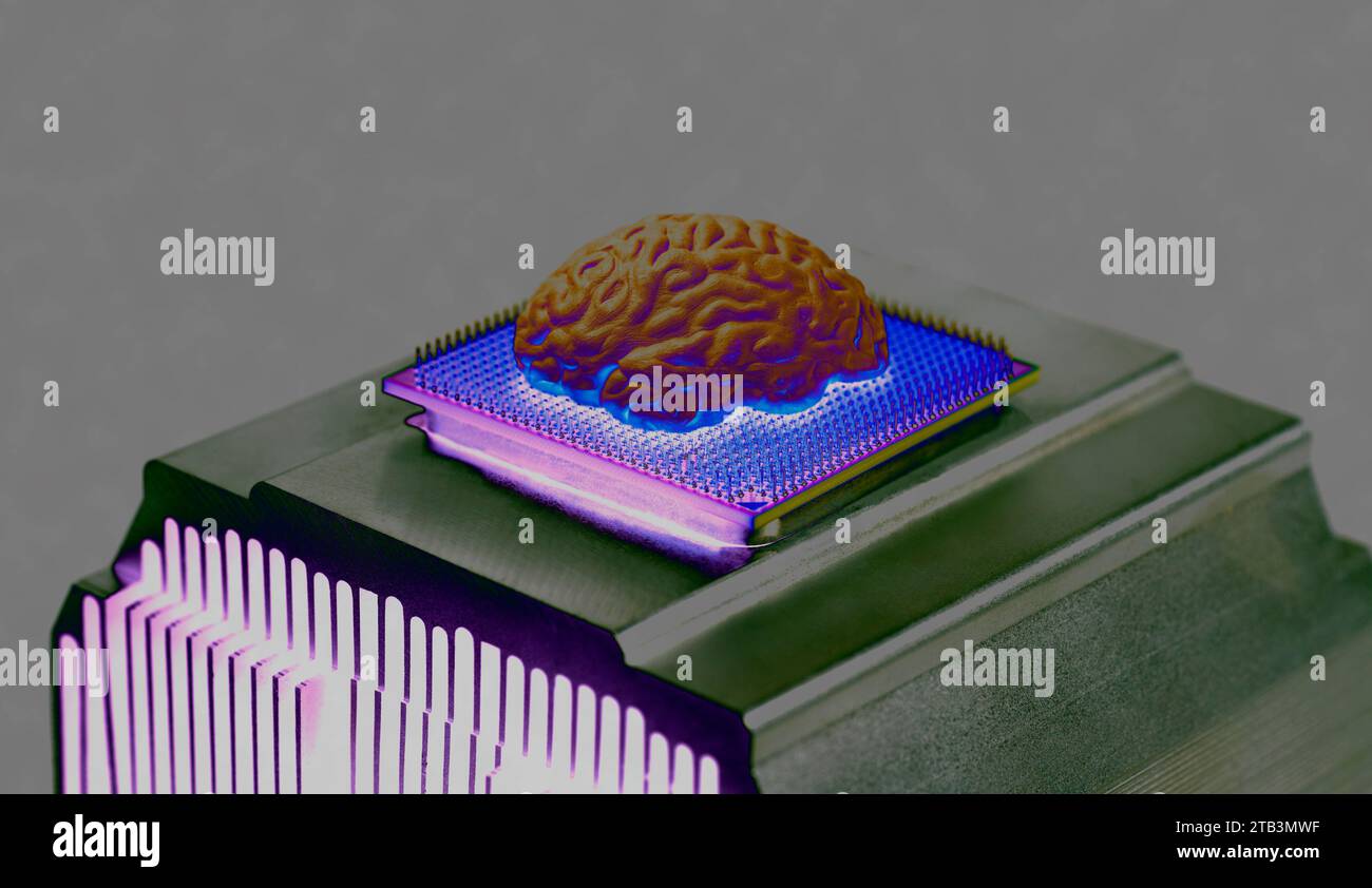 Human brain anatomical model on CPU processor microchip Stock Photo - Alamy