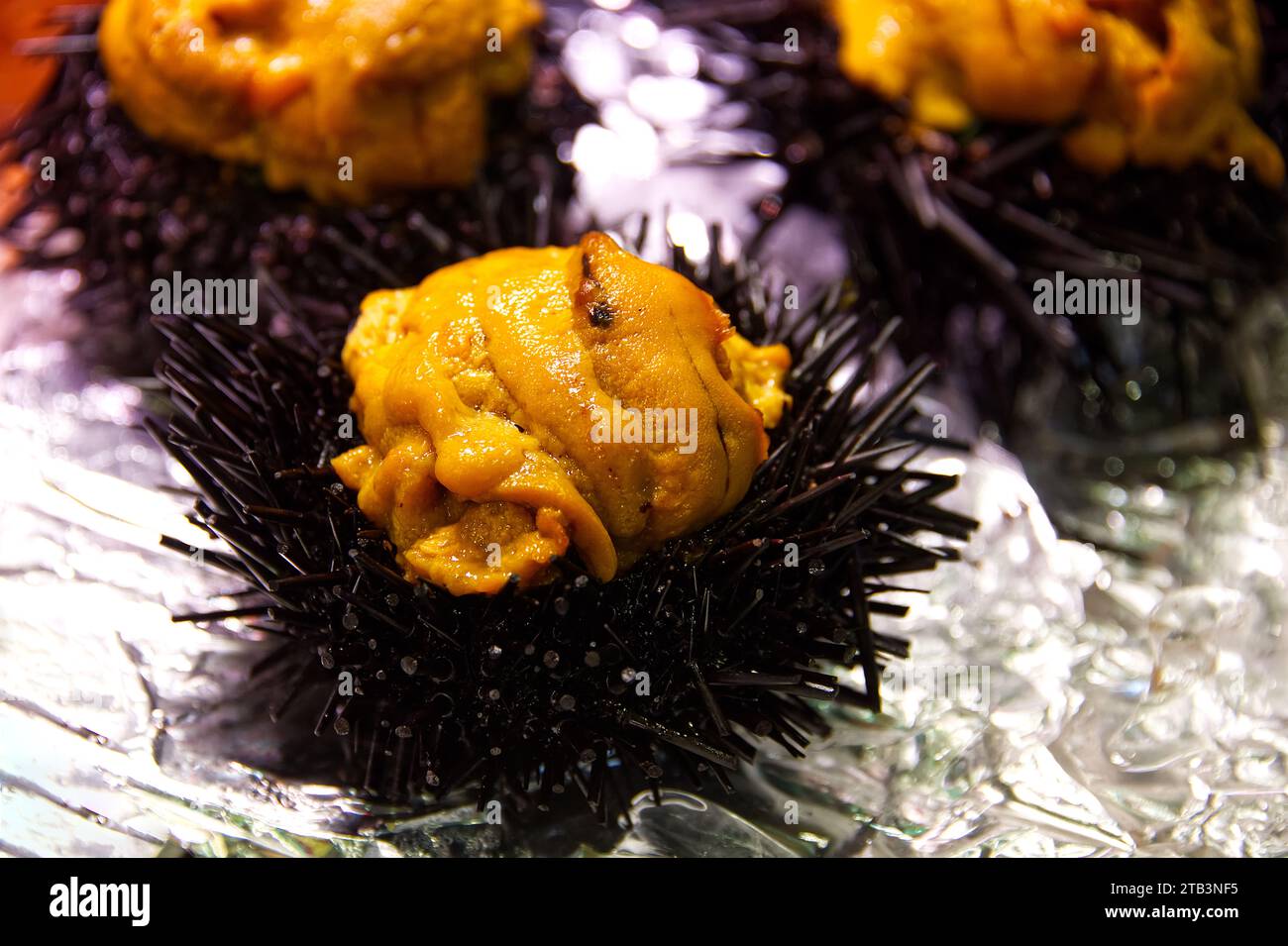 Detail view of a sea urchin as raw food, japanese speciality Stock ...