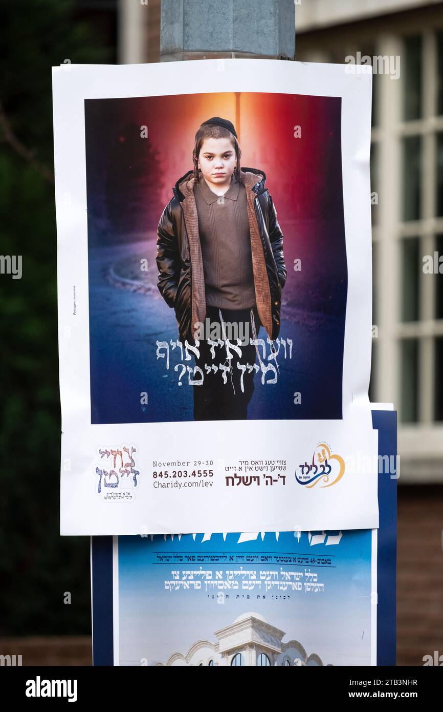 A Yiddish poster on Lee Avenue in Brooklyn soliciting donations to help ...