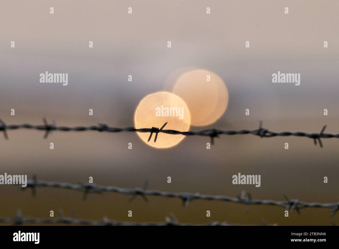 5.12.2023 Stacheldraht Symbol, Grenze Frankfurt am Main Flughafen ...