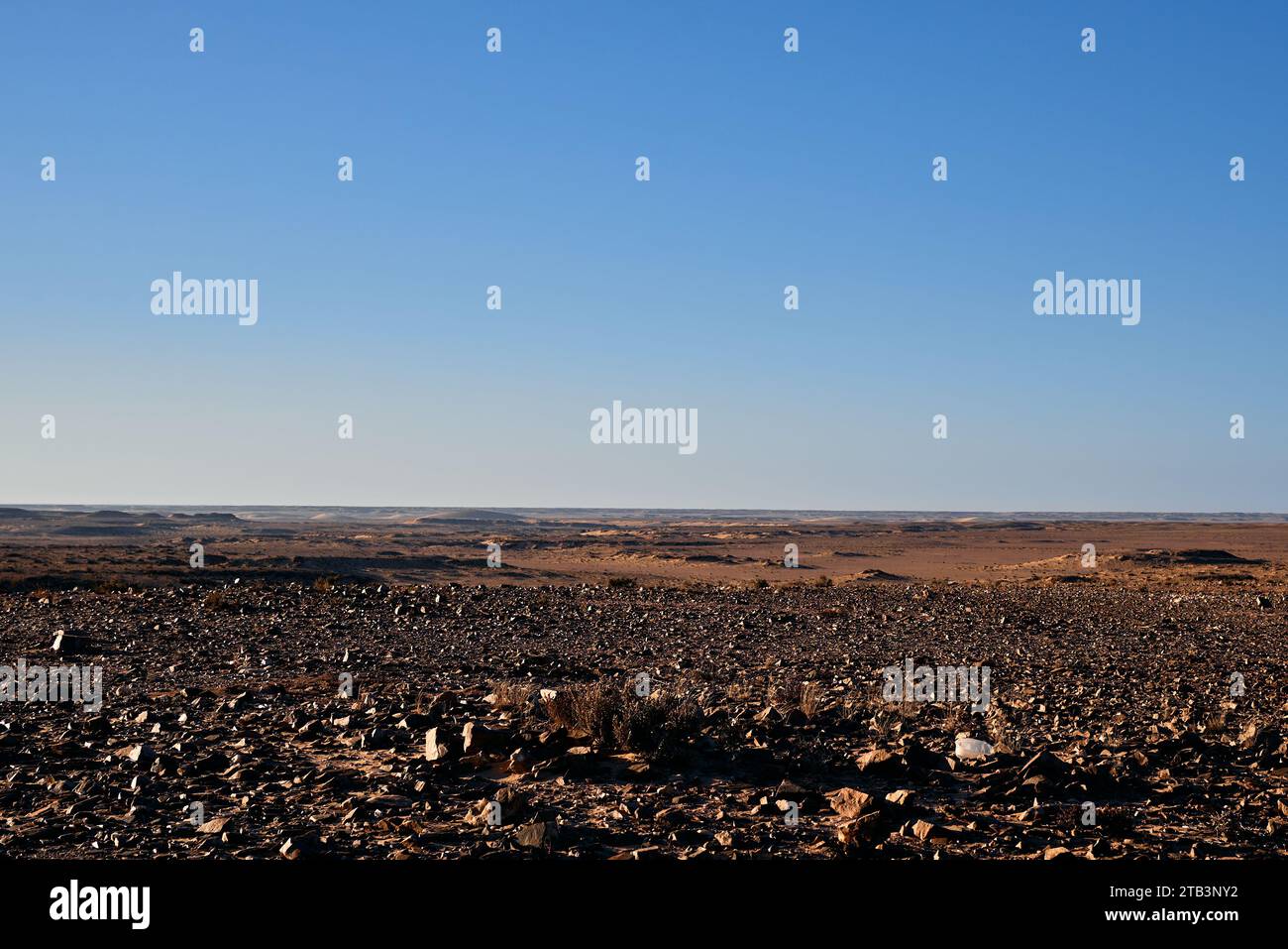 desert landscape with rocks Stock Photo - Alamy