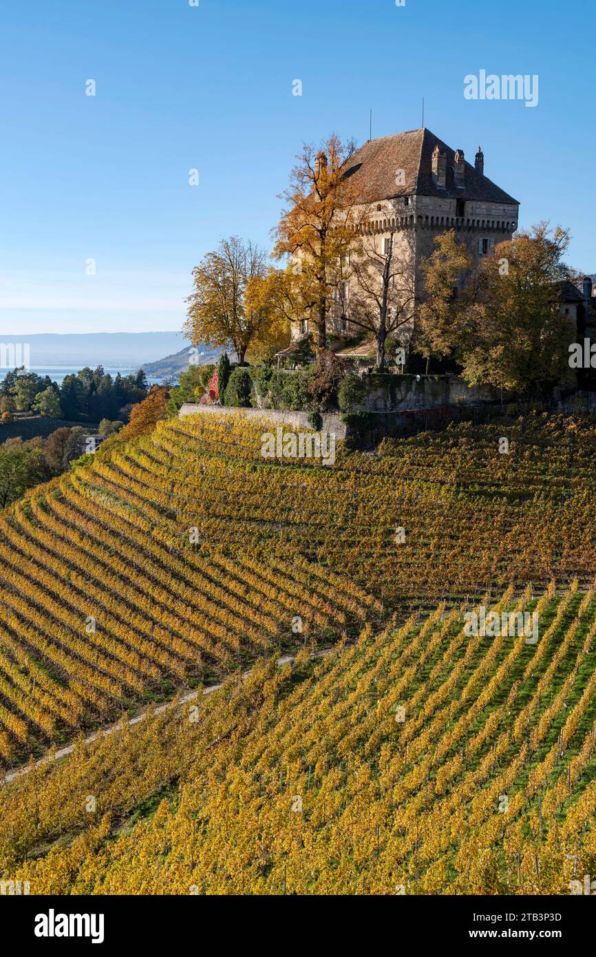 Suisse, Schweiz, Switzerland, Vaud, Waadt, Montreux, Clarens, Château ...