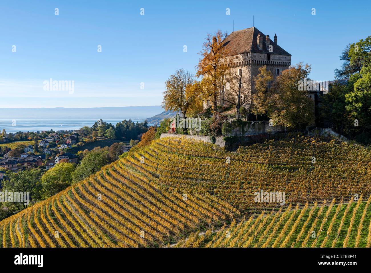 Suisse, Schweiz, Switzerland, Vaud, Waadt, Montreux, Clarens, Château ...