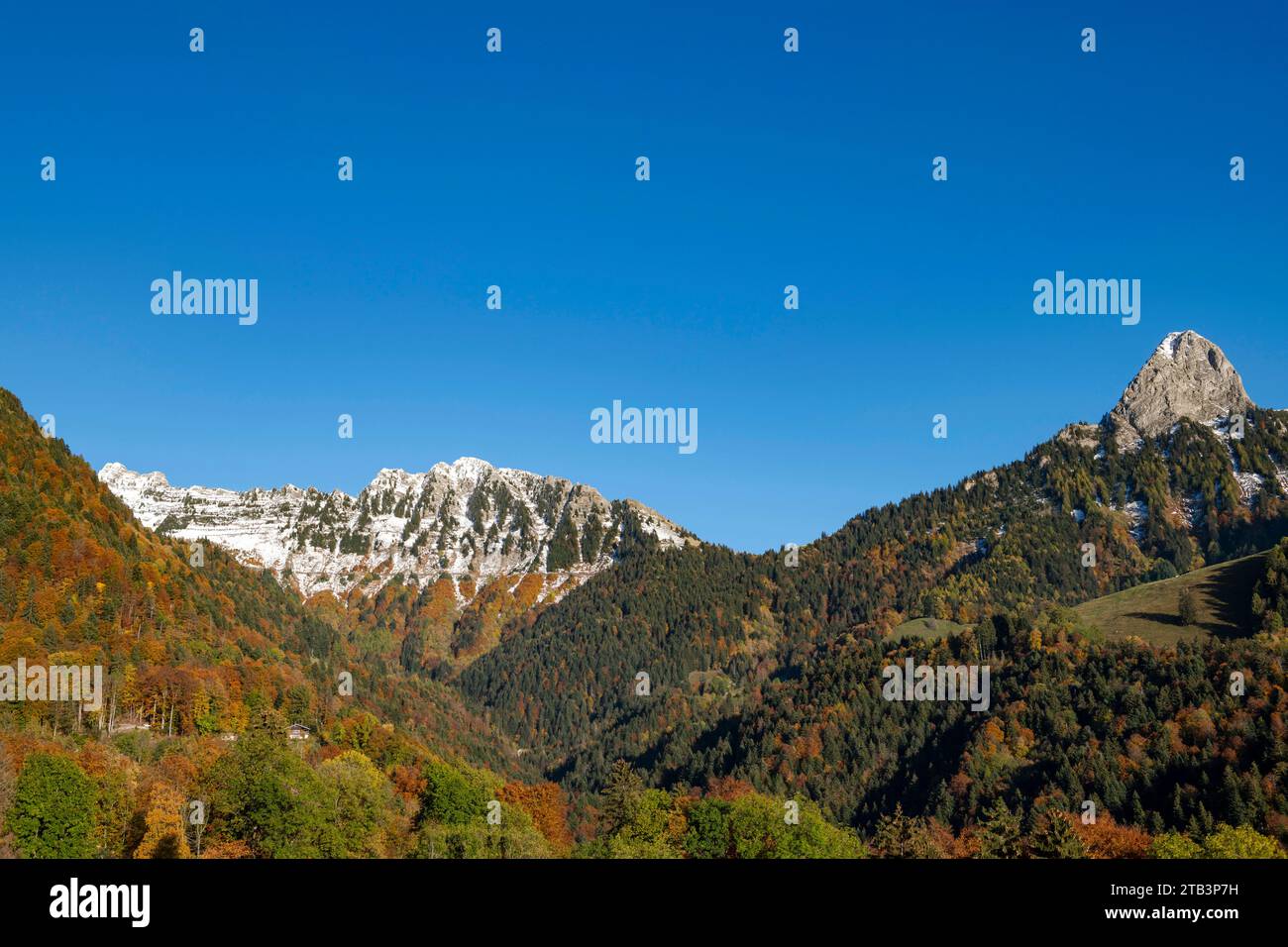 Suisse, Schweiz, Switzerland, Vaud, Waadt, Montreux, Dent de Jaman ...