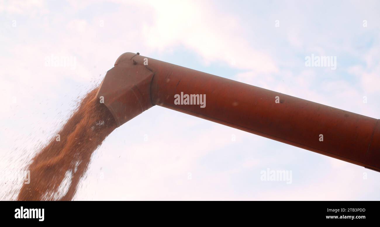 Grain unloading tube hi-res stock photography and images - Alamy