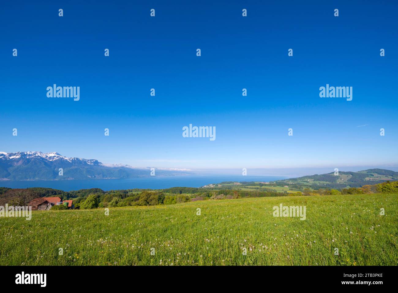 Suisse, Schweiz, Switzerland, Vaud, Waadt, Lac Léman, Genfer See ...