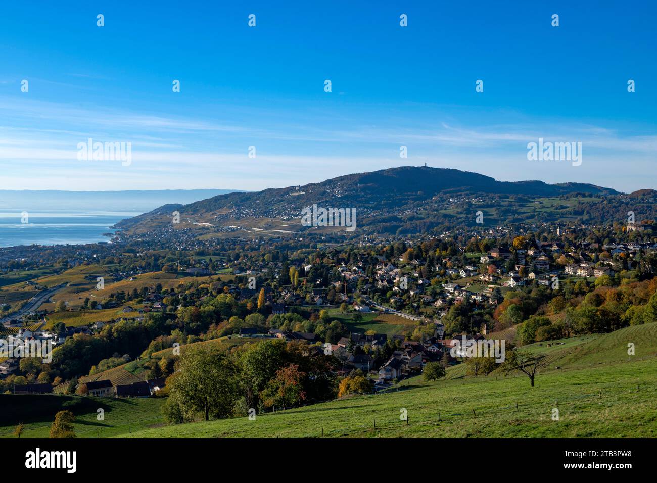 Suisse, Schweiz, Switzerland, Vaud, Waadt, Blonay, Mont Pèlerin ...