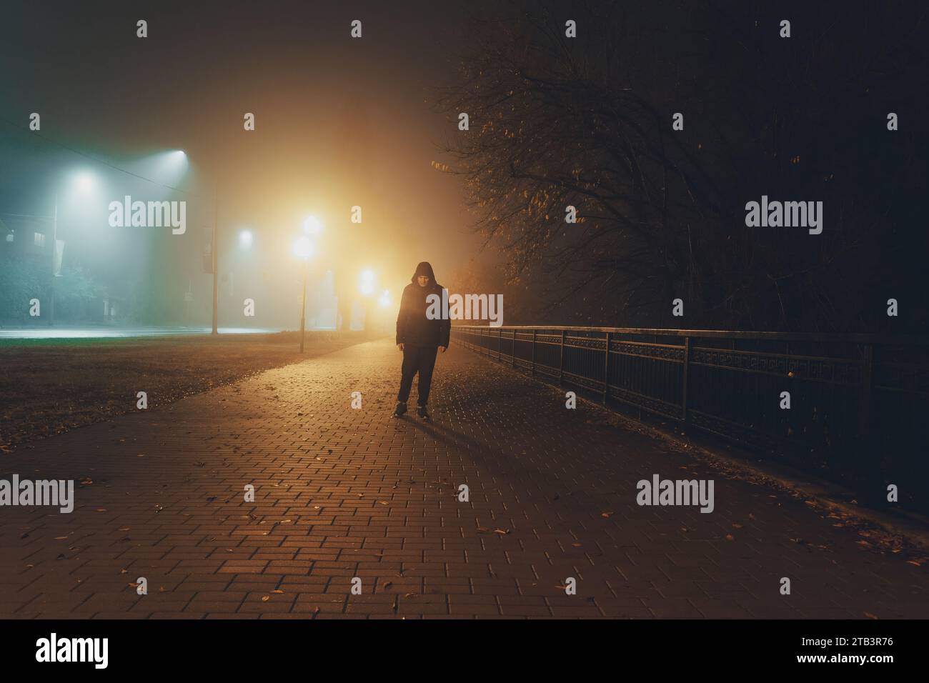 Alone sad woman park night hi-res stock photography and images - Alamy