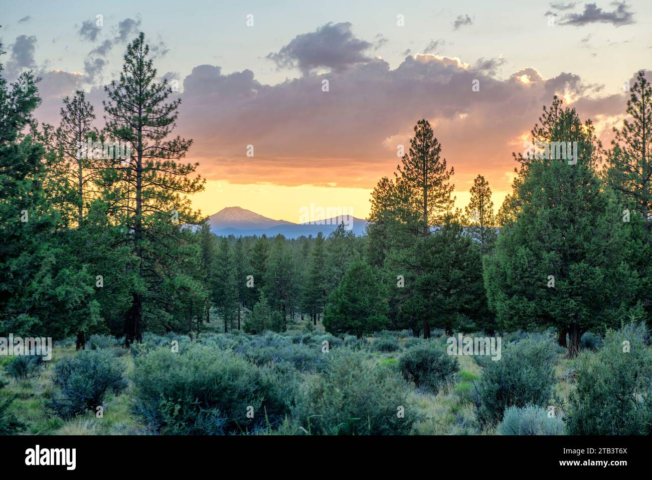 Hogh desert hi-res stock photography and images - Alamy