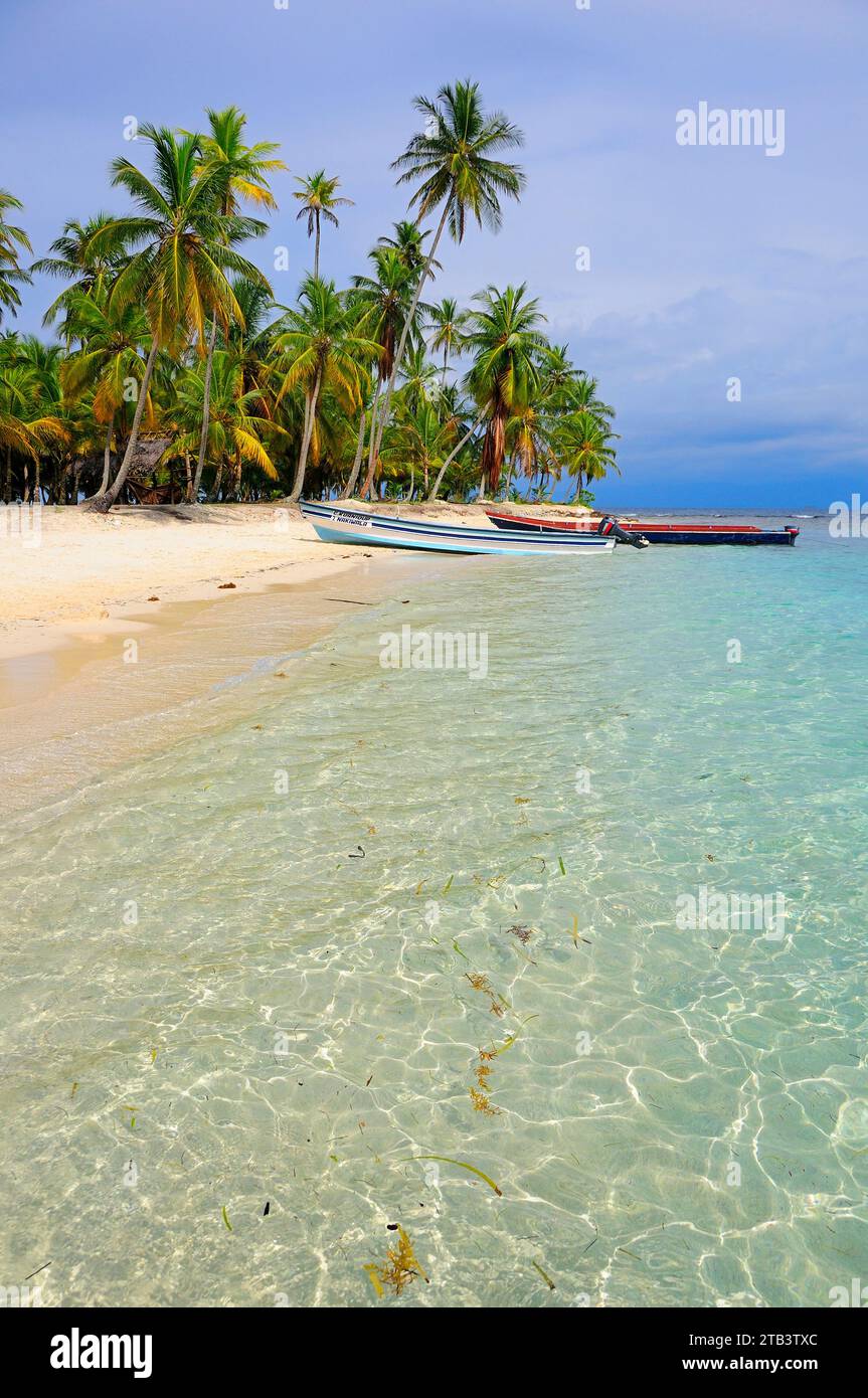 Isla perros hi-res stock photography and images - Alamy