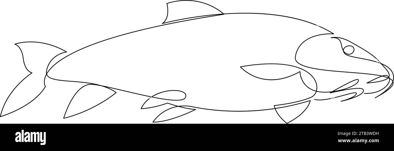 Carp fish continuous one line drawing. Crucian carp or tinca tinca ...