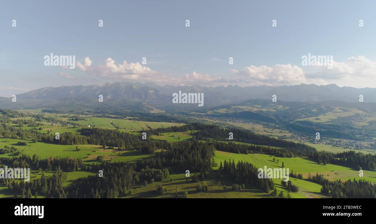 Flying fog above evergreen forest hi-res stock photography and images ...