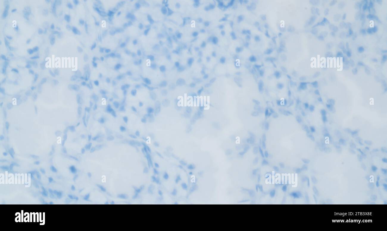virus structure under a microscope Stock Photo - Alamy
