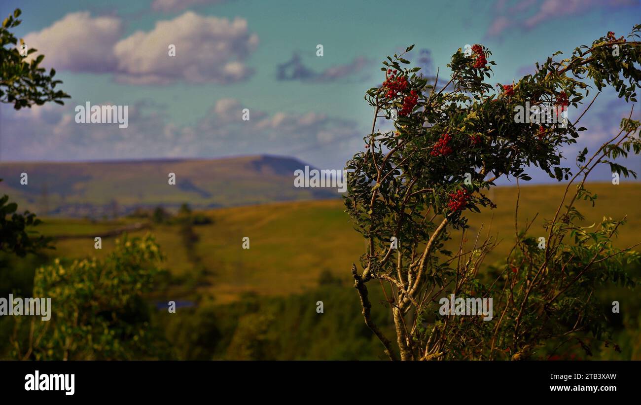 Captured one windy day looking north toward pendle Hill which lies ...