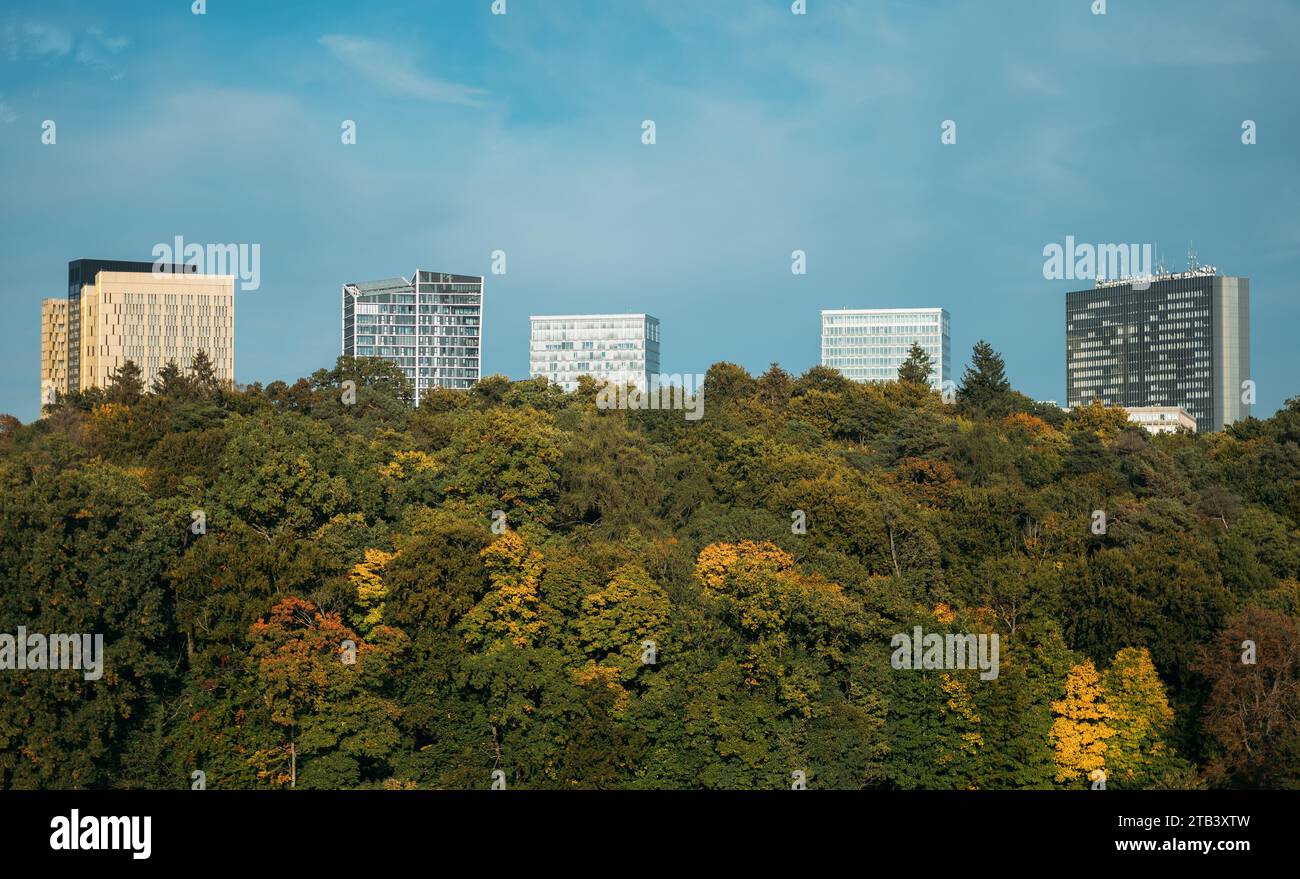 Modern high-rises buildings stick out of dense forest on hill slope ...