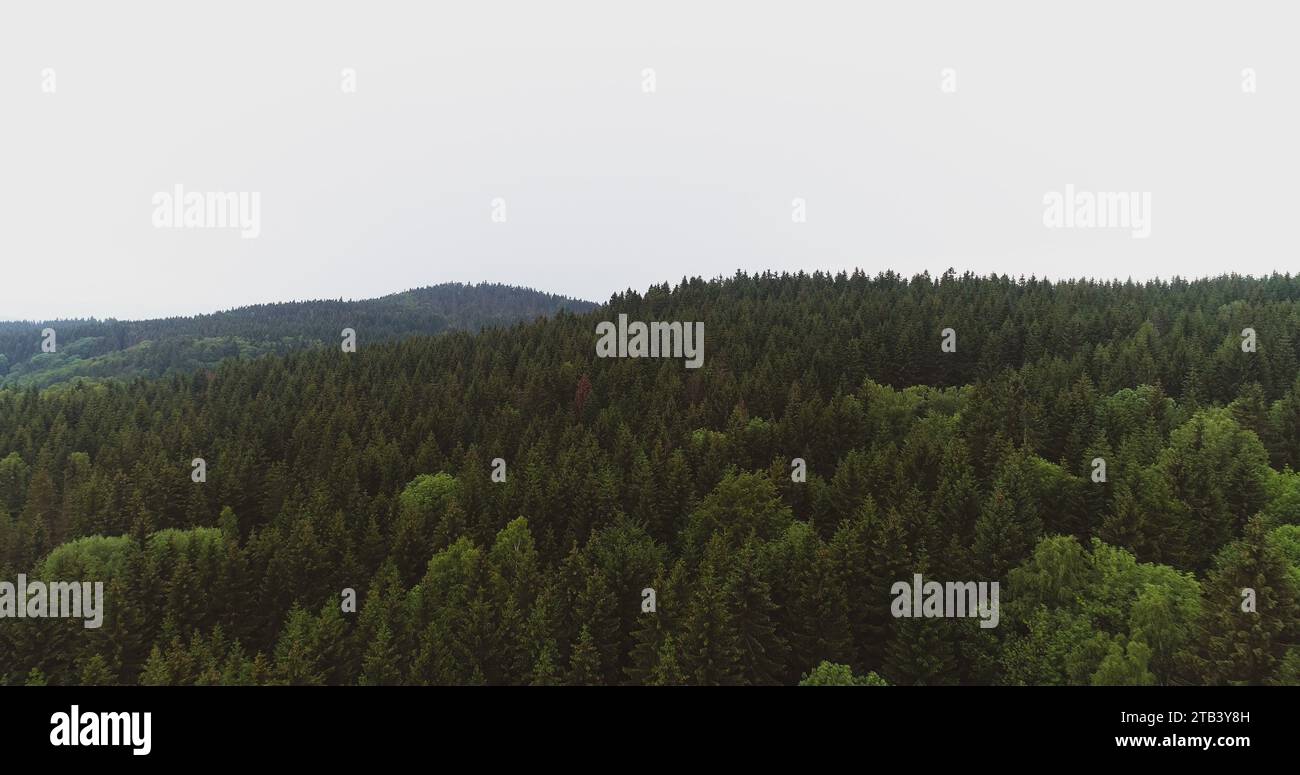 Flying over the beautiful forest trees. Landscape panorama Stock Photo ...