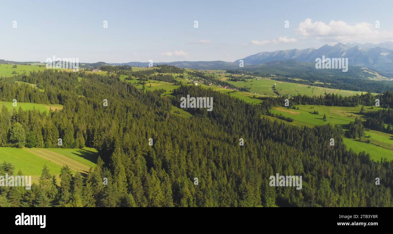Flying over the beautiful forest trees. Landscape panorama Stock Photo ...