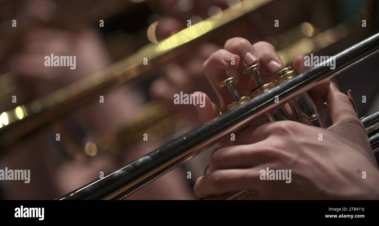 French jazz violinist hi-res stock photography and images - Alamy