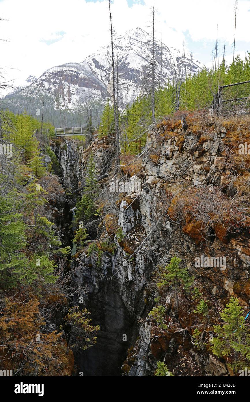 Cliff of Marble Canyon, Kootenay NP, Canada Stock Photo - Alamy