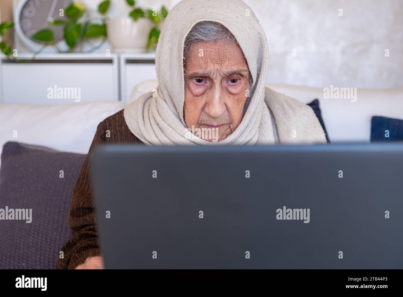 old lady using laptop in modern living room for online purposes Stock ...