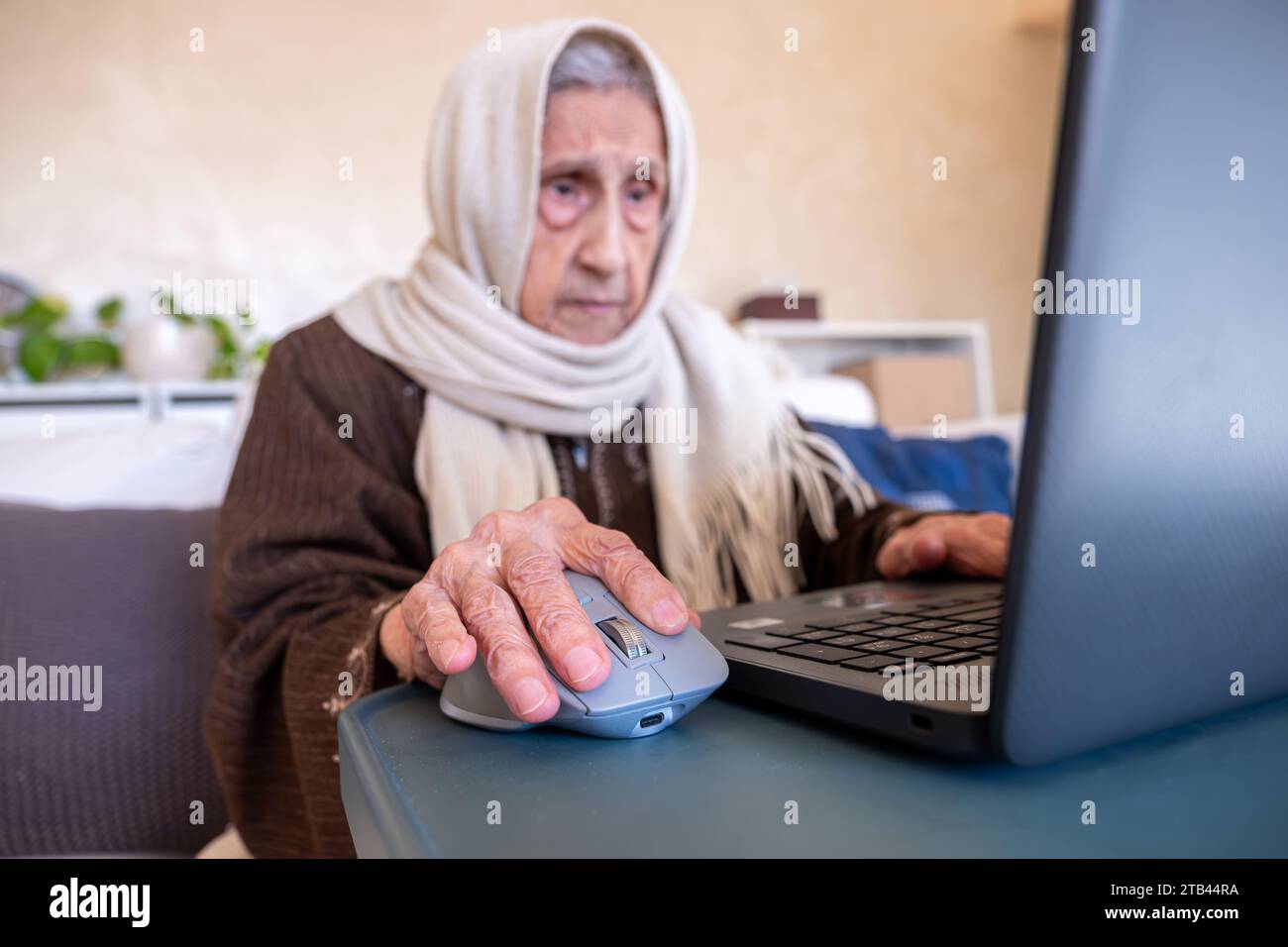 old lady using laptop in modern living room for online purposes Stock ...