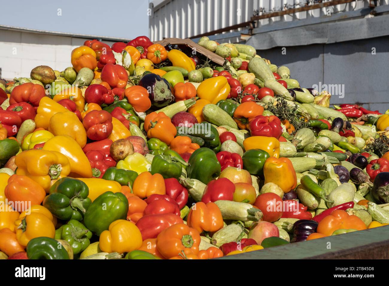 Heap of Mix Vegetables and fruits at harvest time. Organic bio waste in ...