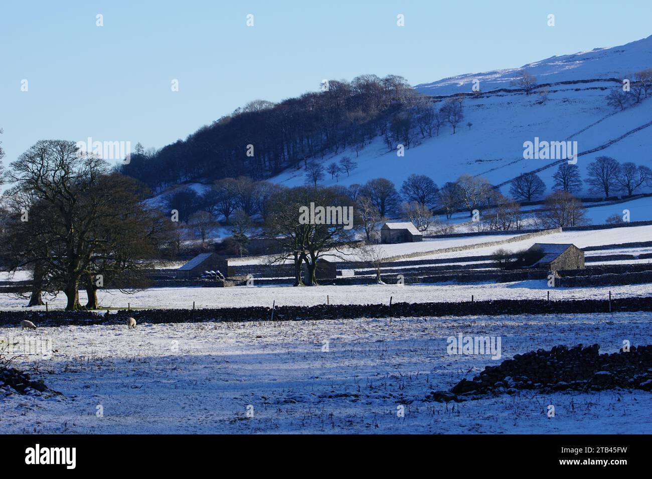 Winter in Littondale, The Dales, North Yorkshire, England, UK Stock ...
