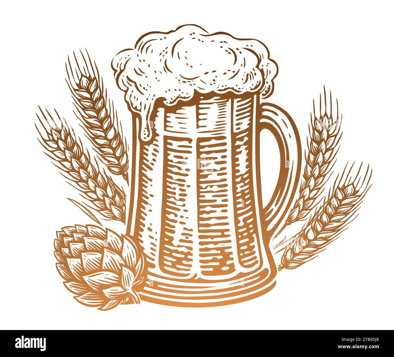 Beer mug, hops and wheat. Pub, brewing, sketch vintage vector ...