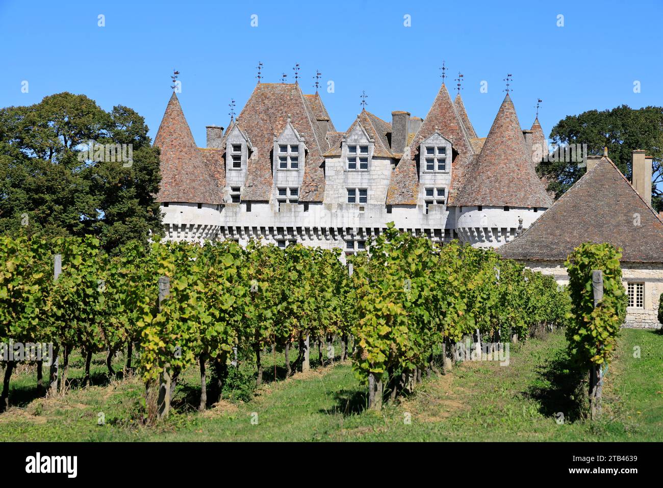 The Château de Monbazillac surrounded by its famous vineyard ...