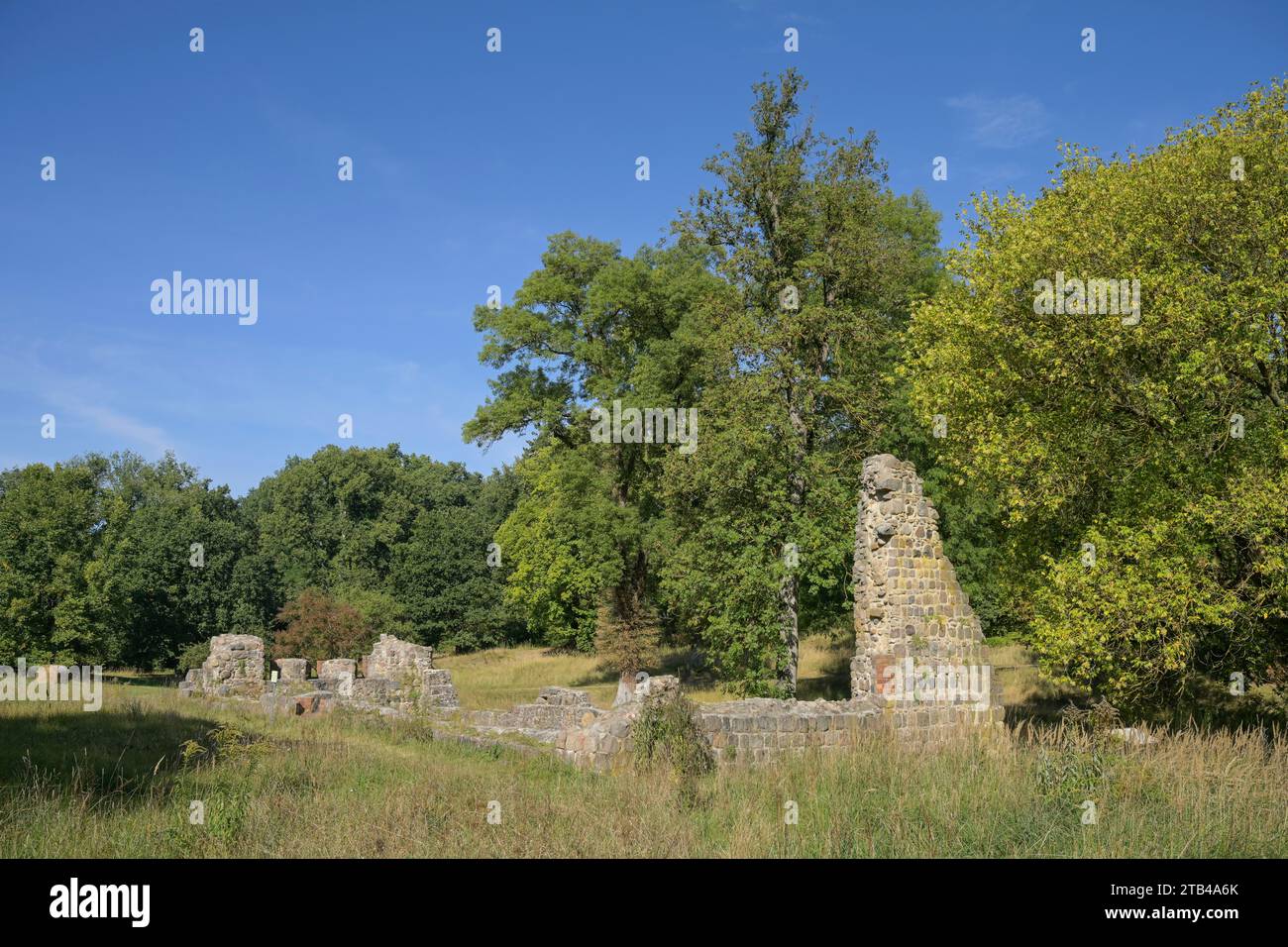 Ruin, former watermill, Chorin Monastery, Barnim district, Brandenburg ...