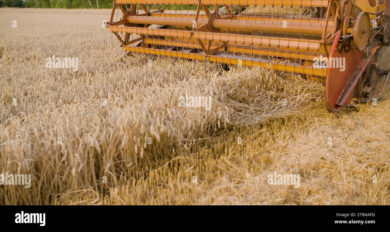 Harvesting. Combine Harvester harvesting wheat Stock Photo - Alamy
