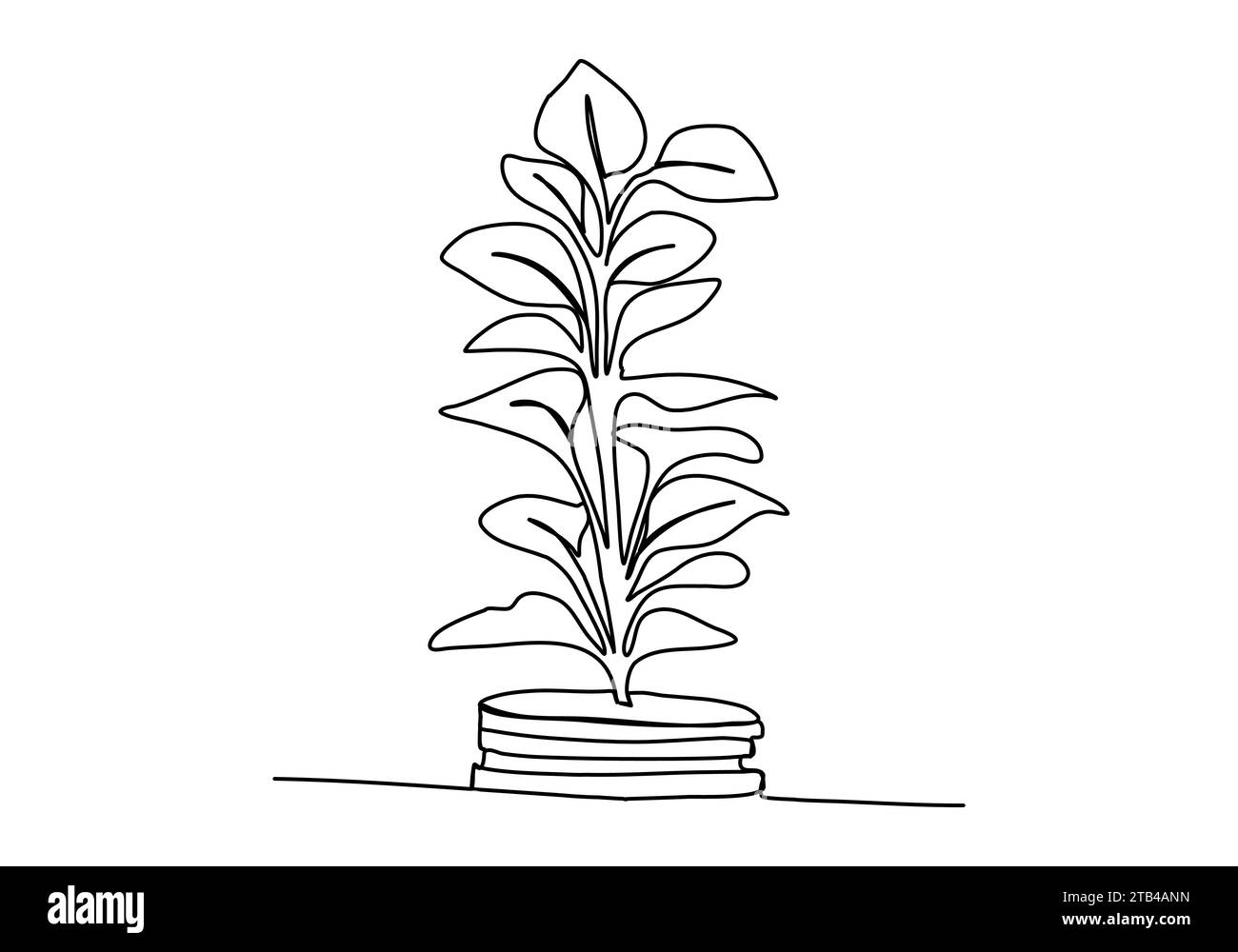 Growing plant Black and White Stock Photos & Images - Alamy