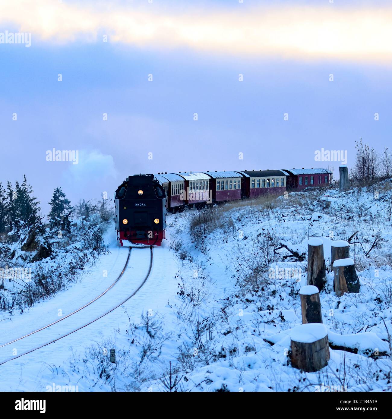 Harzer Schmalspurbahn Eine Dampflok der Harzer Brockenbahn HSB bringt ...