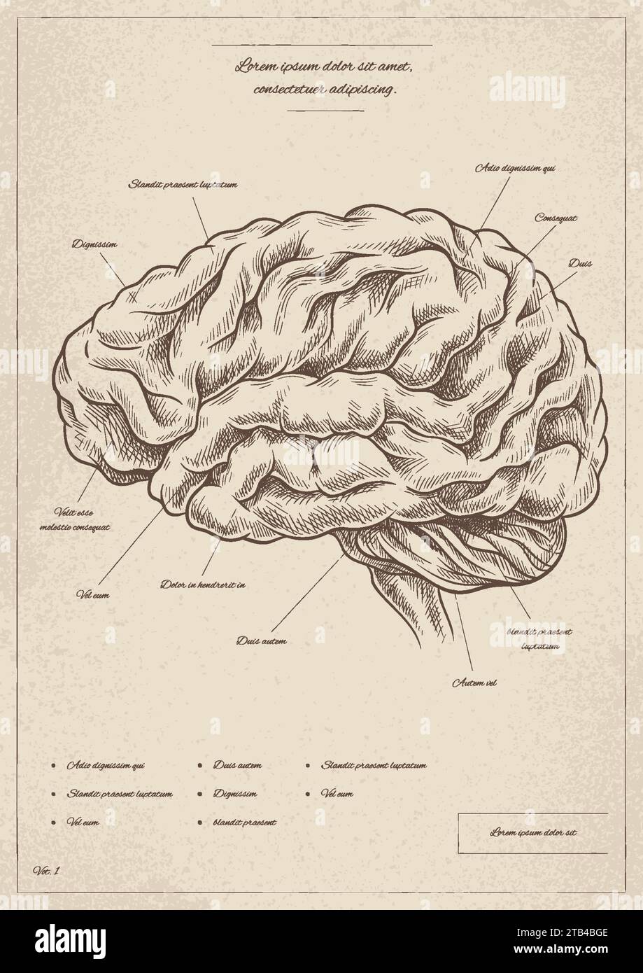 Medical vintage poster with brain vector Stock Vector Image & Art - Alamy