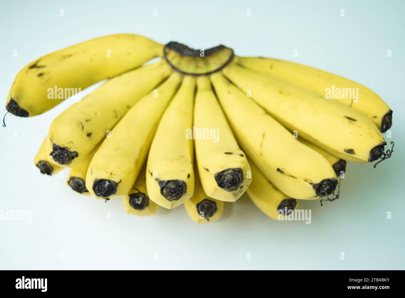Bunch of bananas isolated with clipping path and full depth of field on ...