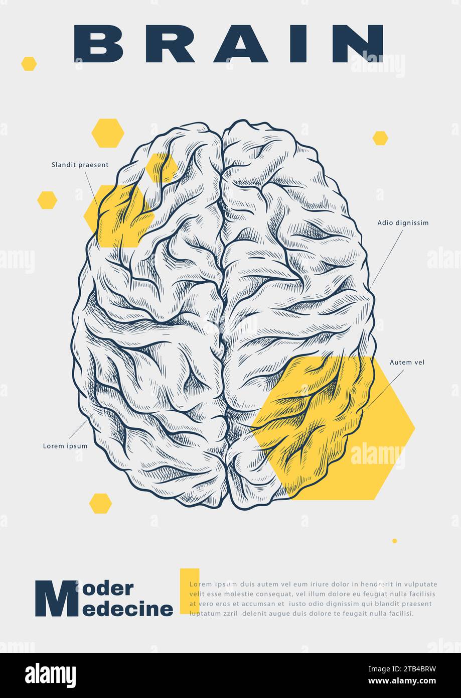 Modern medical poster with brain vector Stock Vector Image & Art - Alamy