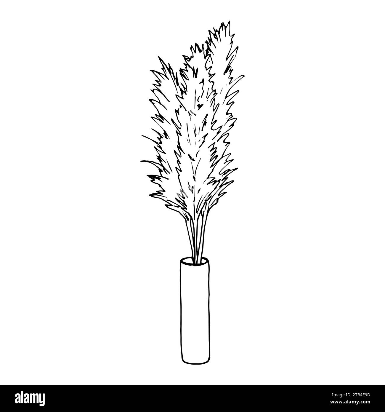Wild dried flower vase vector silhouette. Hand drawing line art ...