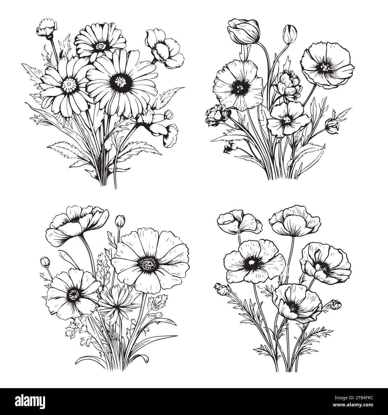 Doodle bouquets set hand drawn flowers. Floral sketch, drawing, still ...