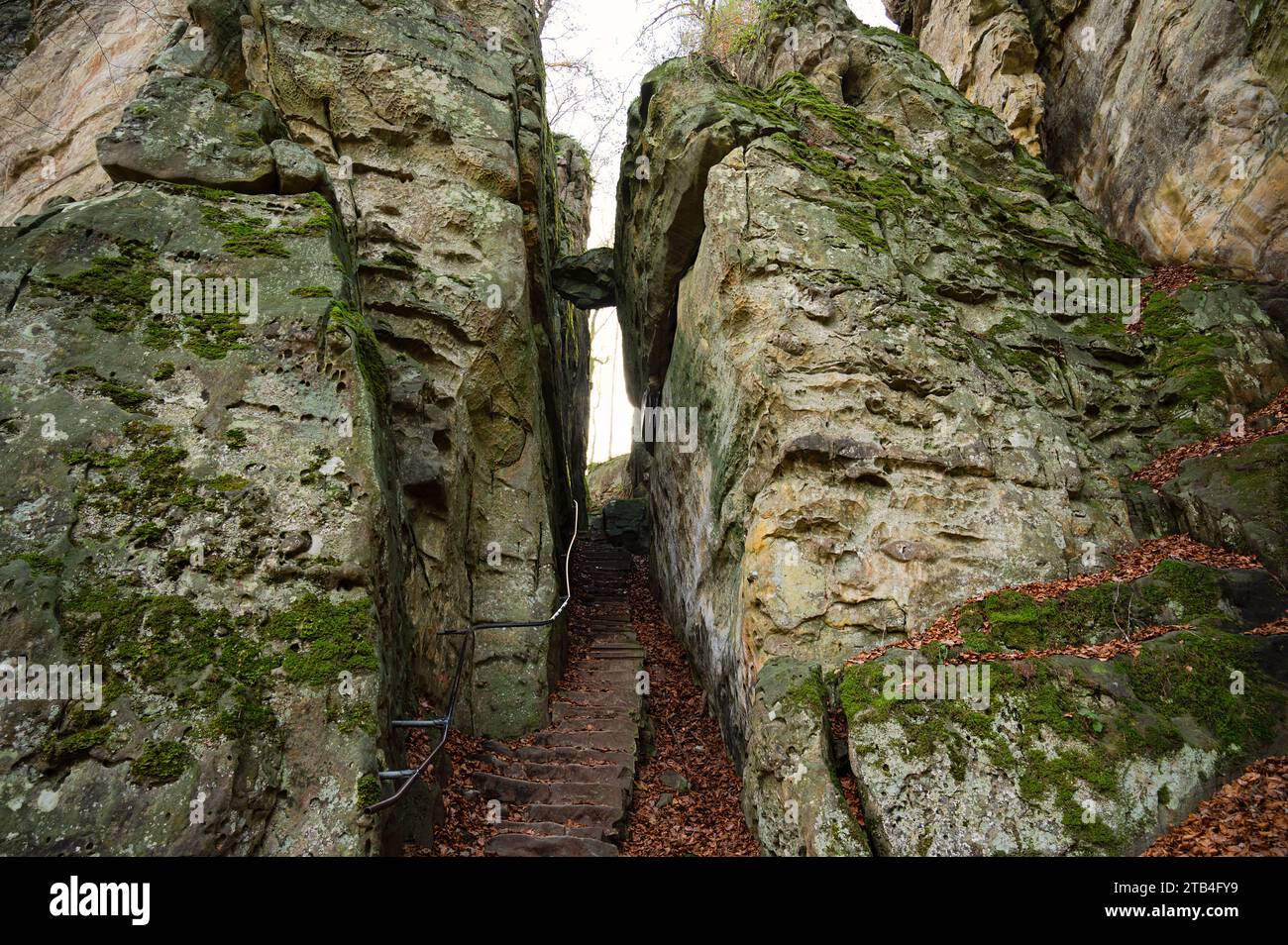 Devil Gorge at the Eifel, Teufelsschlucht with mighty boulders and ...