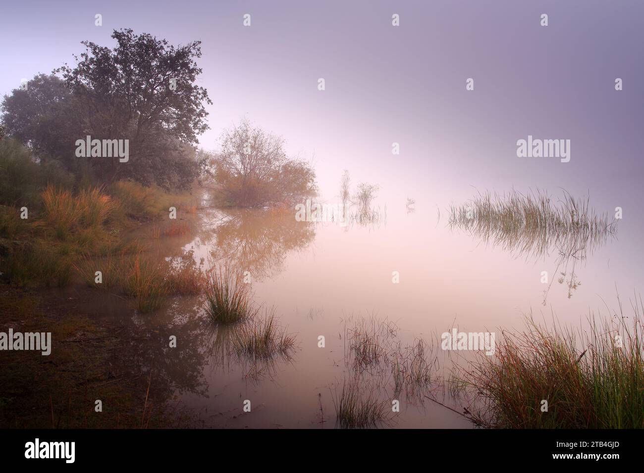 A reservoir area on a foggy day where you cannot see the other shore ...