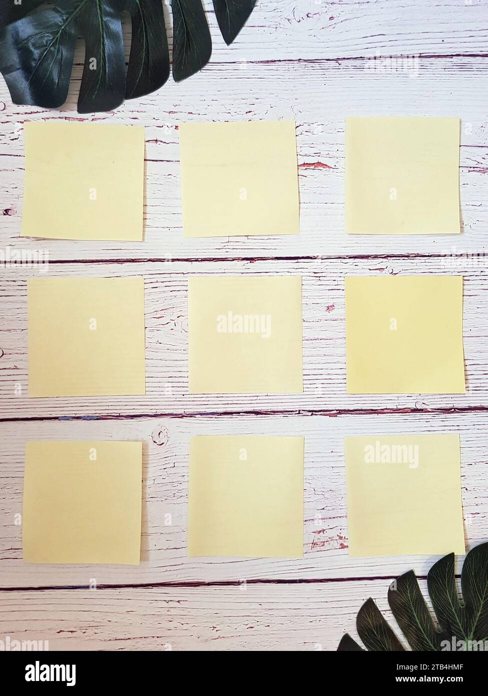 Mockup white empty display hi-res stock photography and images - Alamy