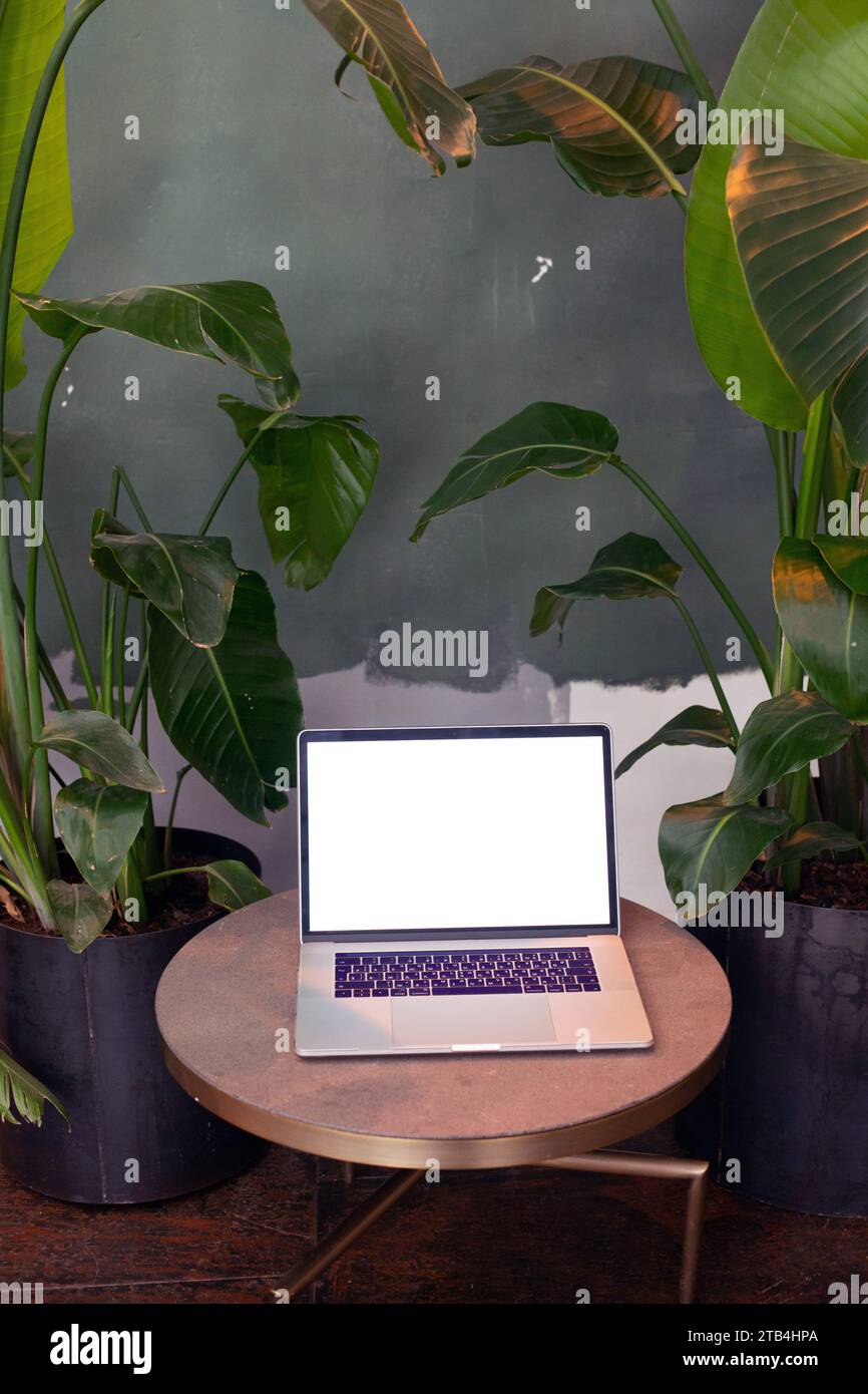 Empty screen laptop mockup template for banners and other design purposes, laptop with an empty ...