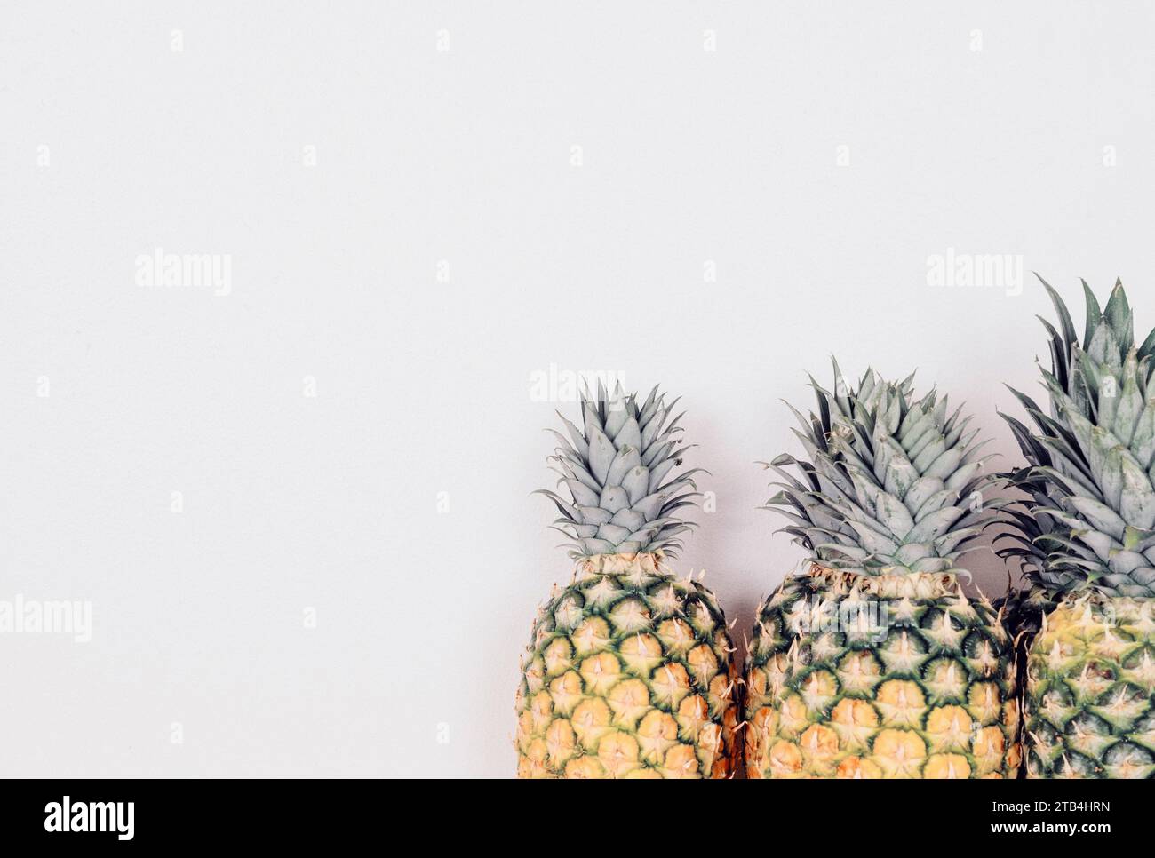 Mockup template for banners and other design purposes, empty blank ...