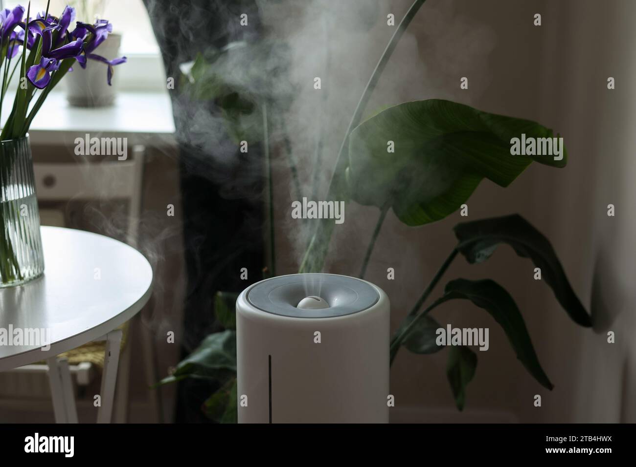 Ultrasonic diffuser, air purifier, humidifier releases stream of cold ...