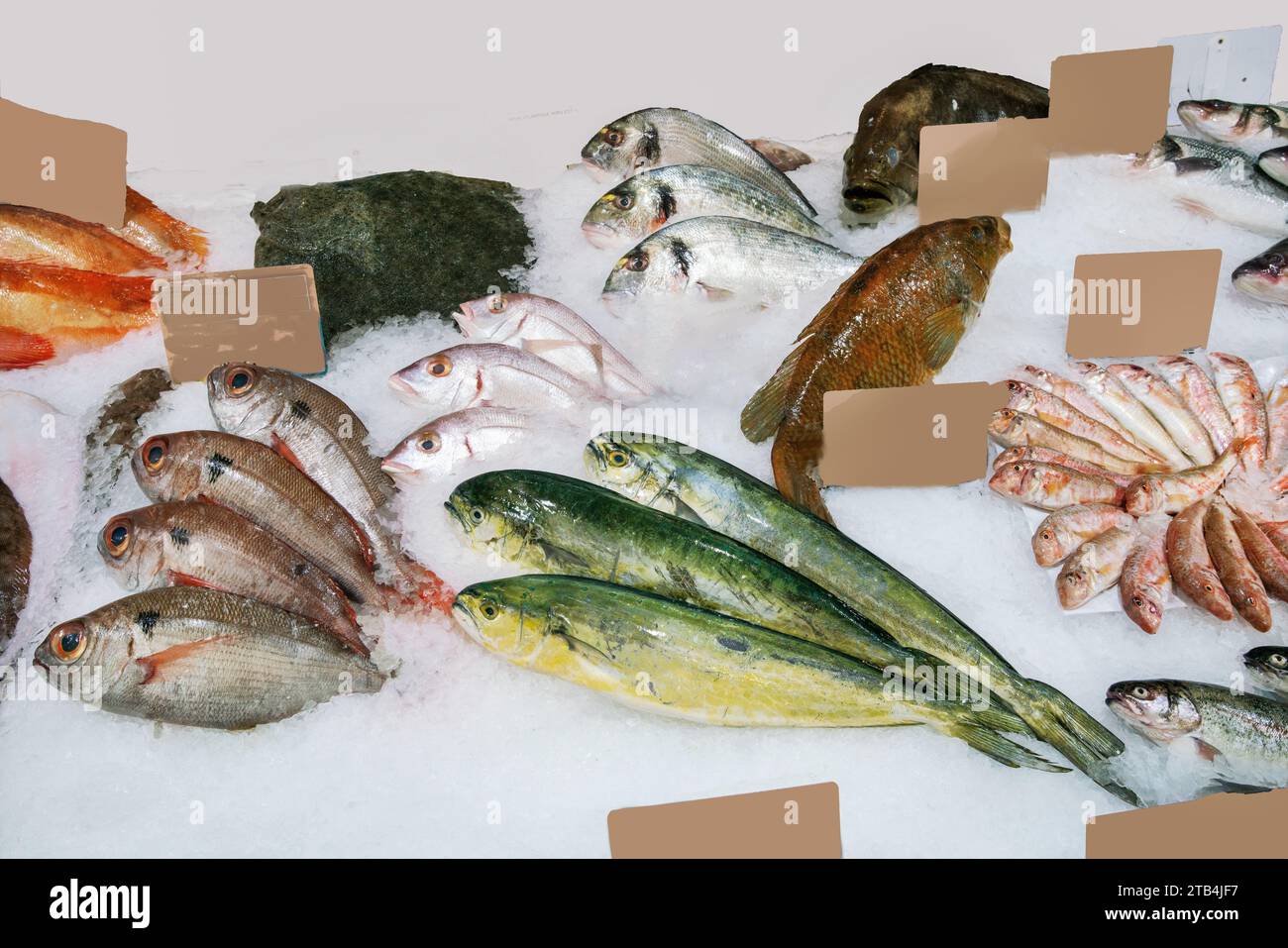 Merout hi-res stock photography and images - Alamy