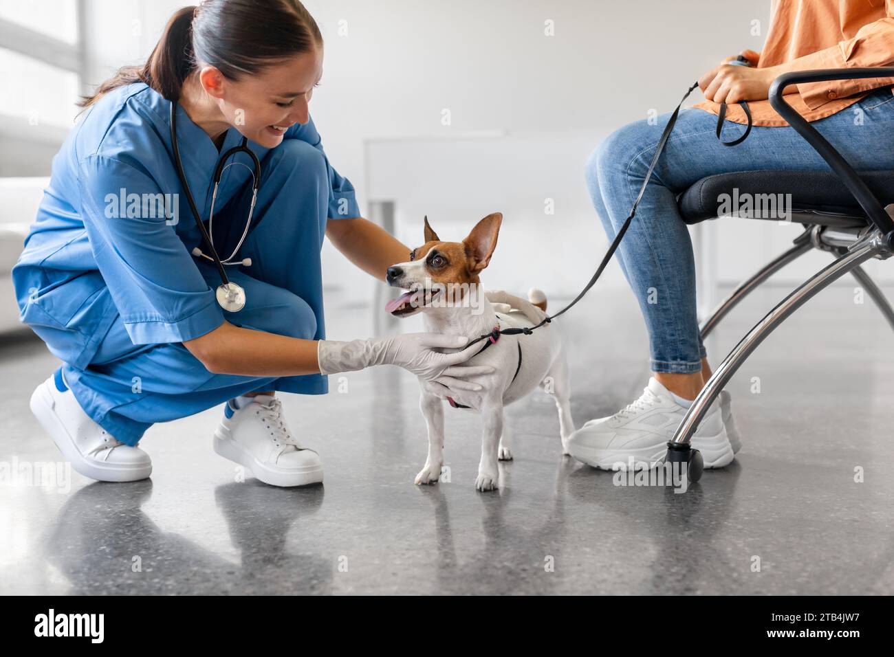 Dog greets owner hi-res stock photography and images - Alamy