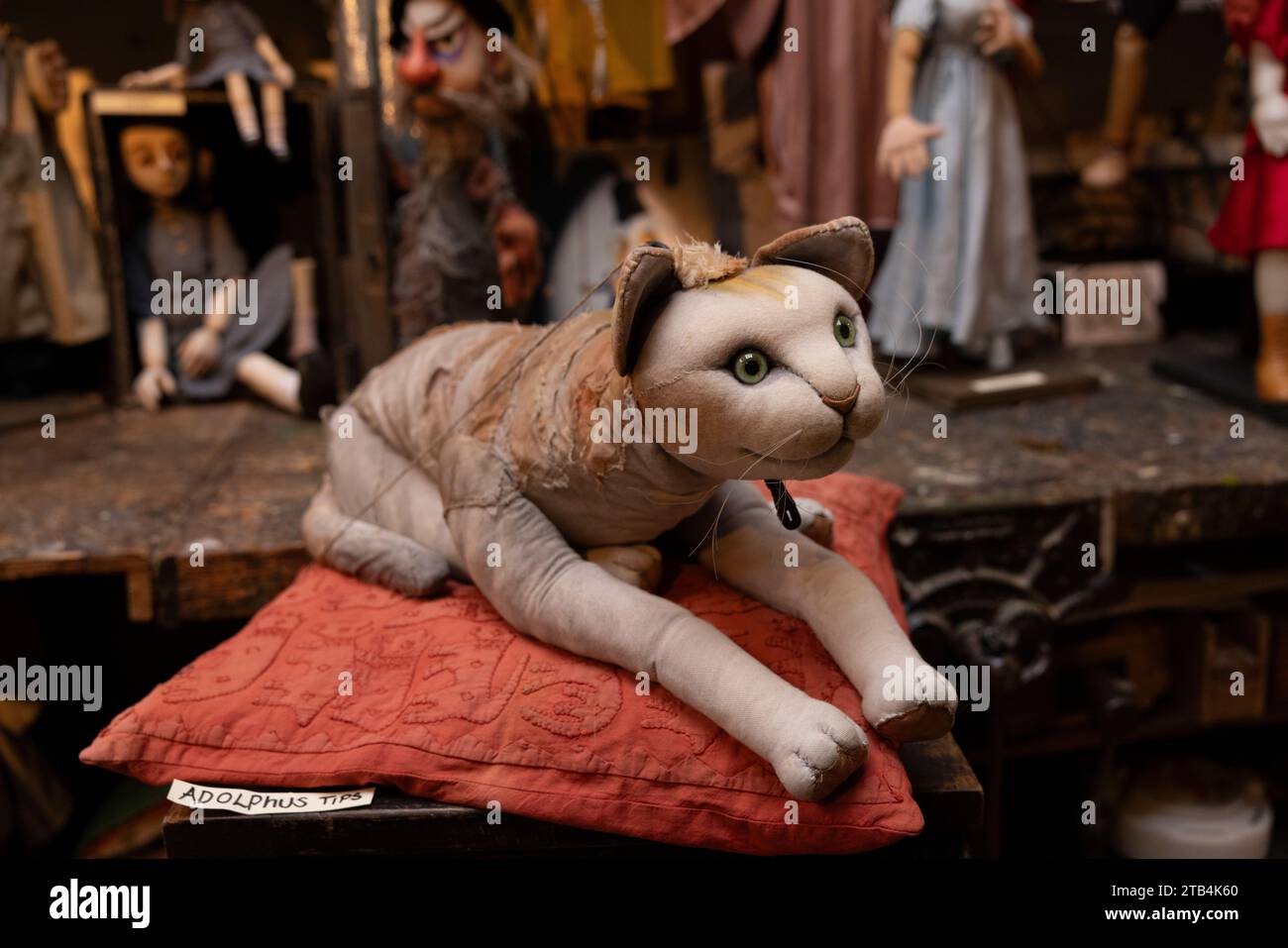 Renowned puppetry artist Lyndie Wright opens her workshop showcasing ...