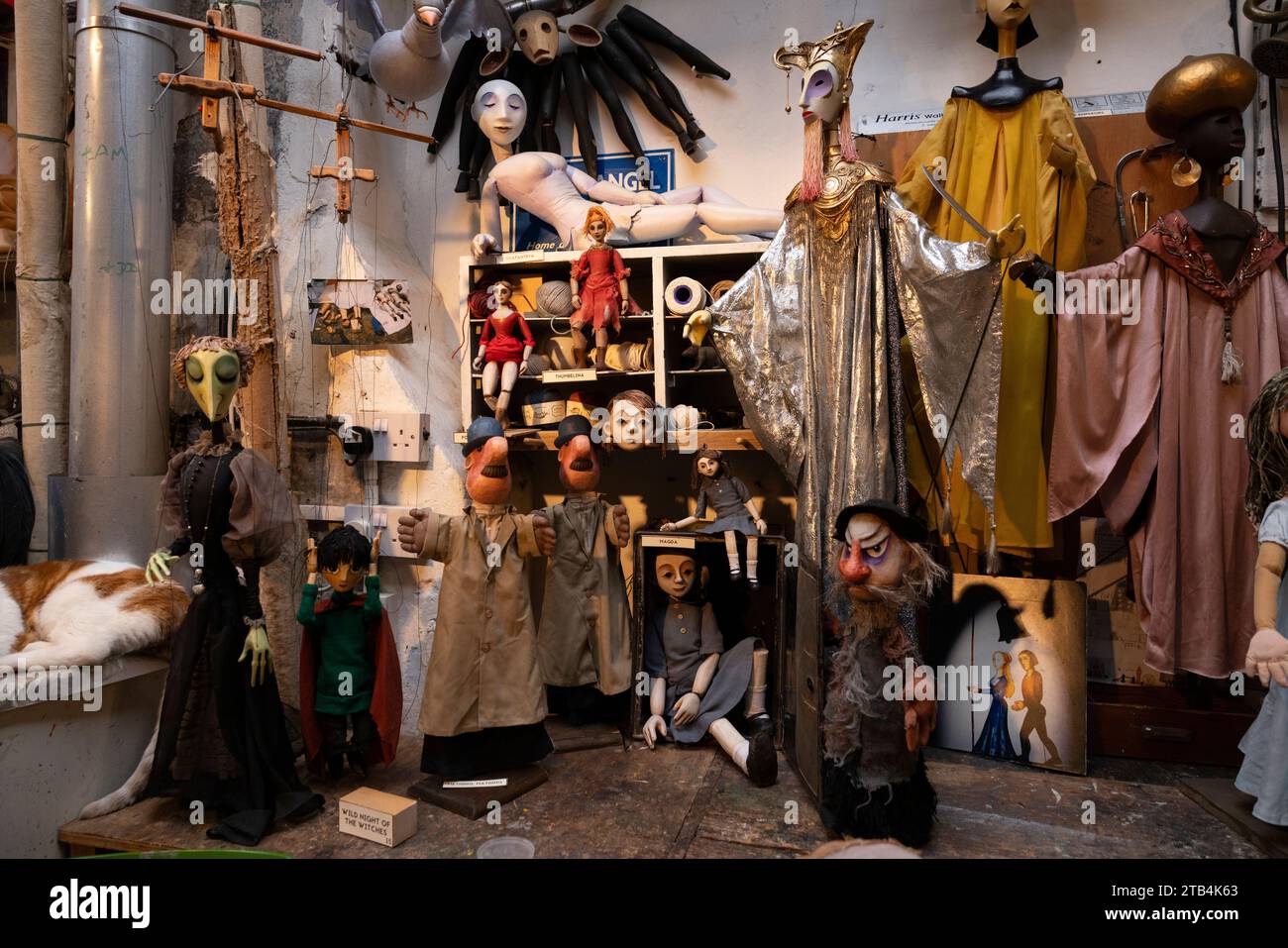 Renowned puppetry artist Lyndie Wright opens her workshop showcasing ...