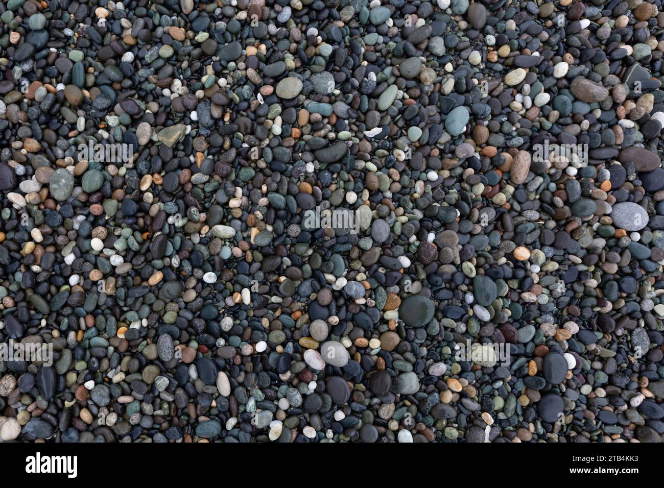 Stones at Gemstone beach invercargill Stock Photo - Alamy